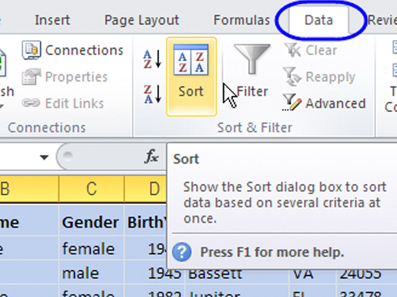 Sort Data in Excel - Procertas
